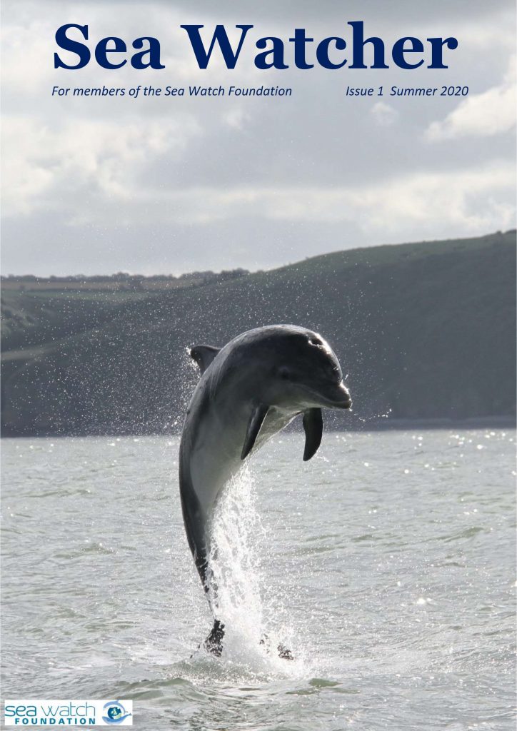 Sea Watcher Magazine Issue 1 and our 2021 Orca Special – Free Trials ...